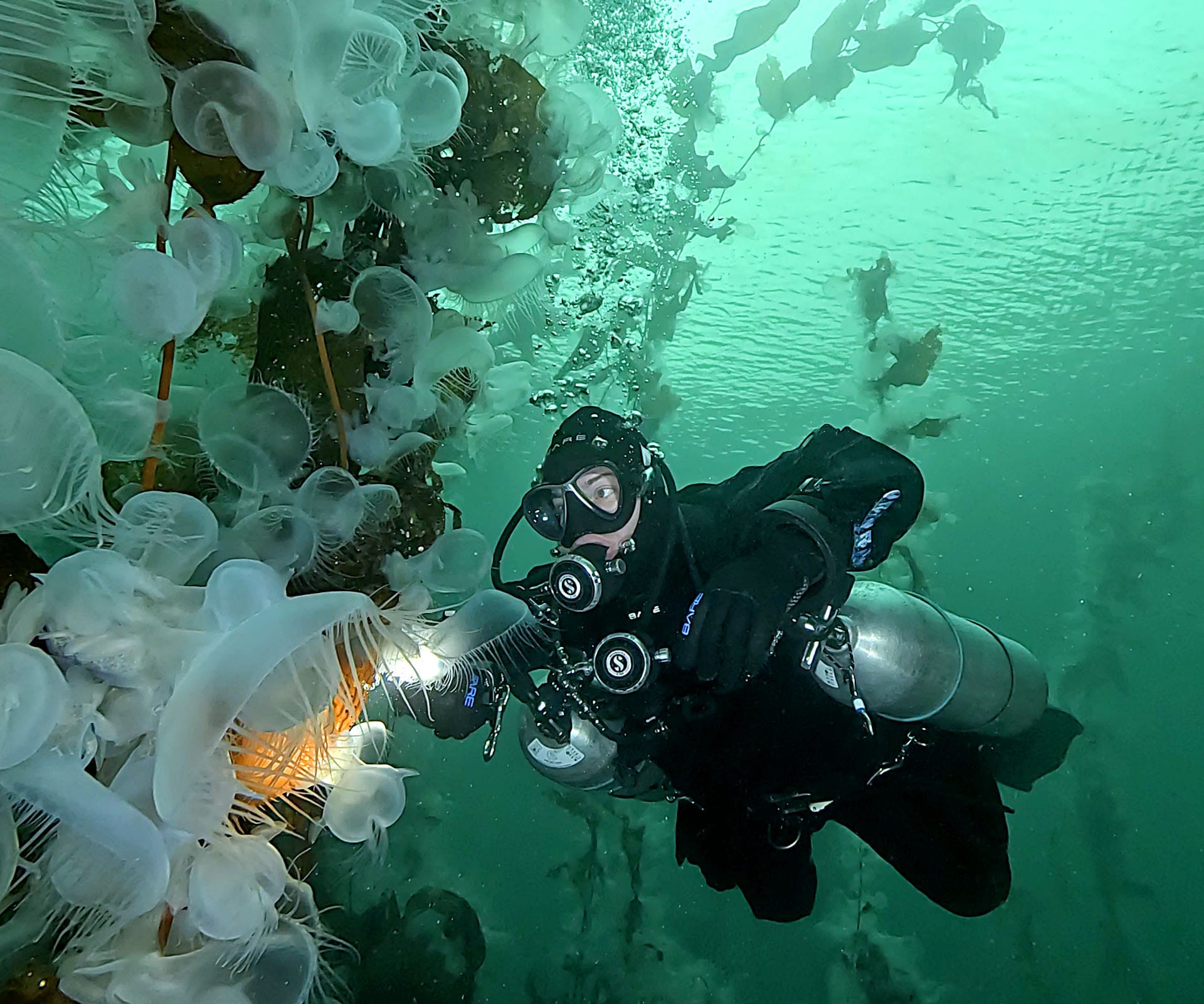Scuba Diving Vancouver, learn to Scuba Dive and Snorkel with Olivia's ...