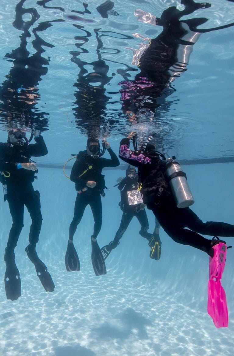 Scuba Diving Vancouver, learn to Scuba Dive and Snorkel with Olivia's ...