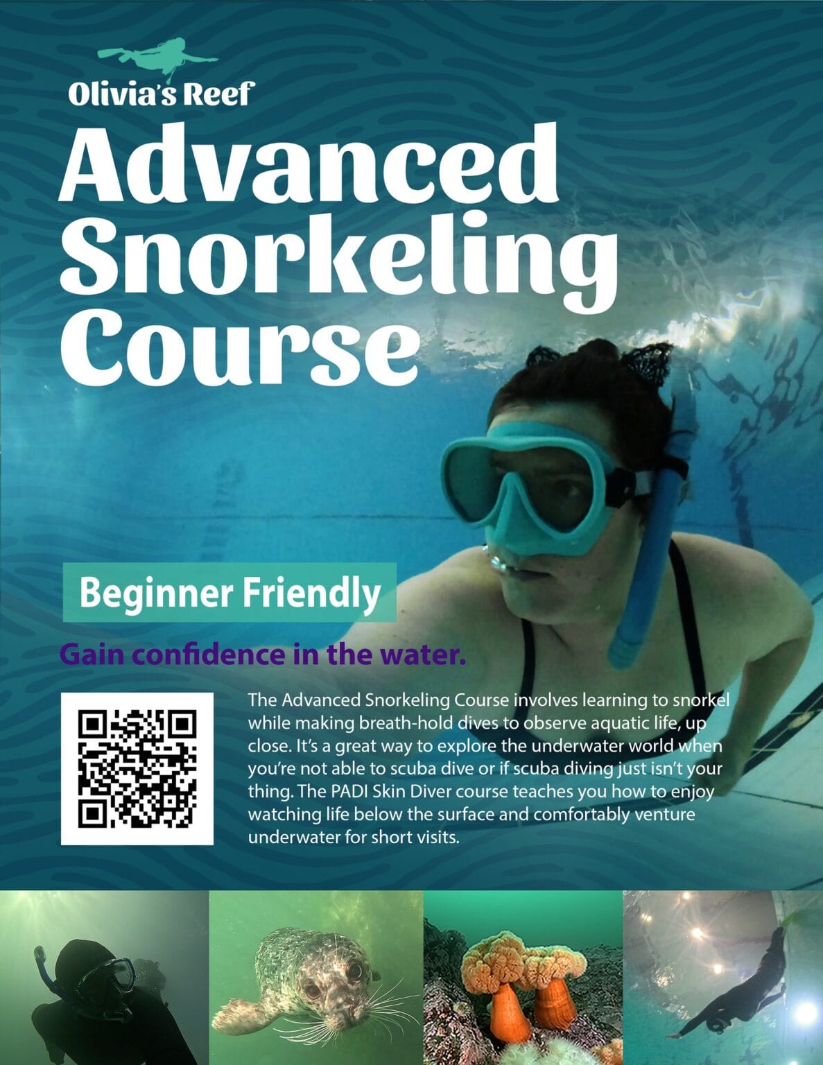 Advanced Snorkeling Course - Olivia's Reef Dive Adventures